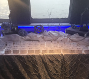 Photos - Atlantis New York Cruises